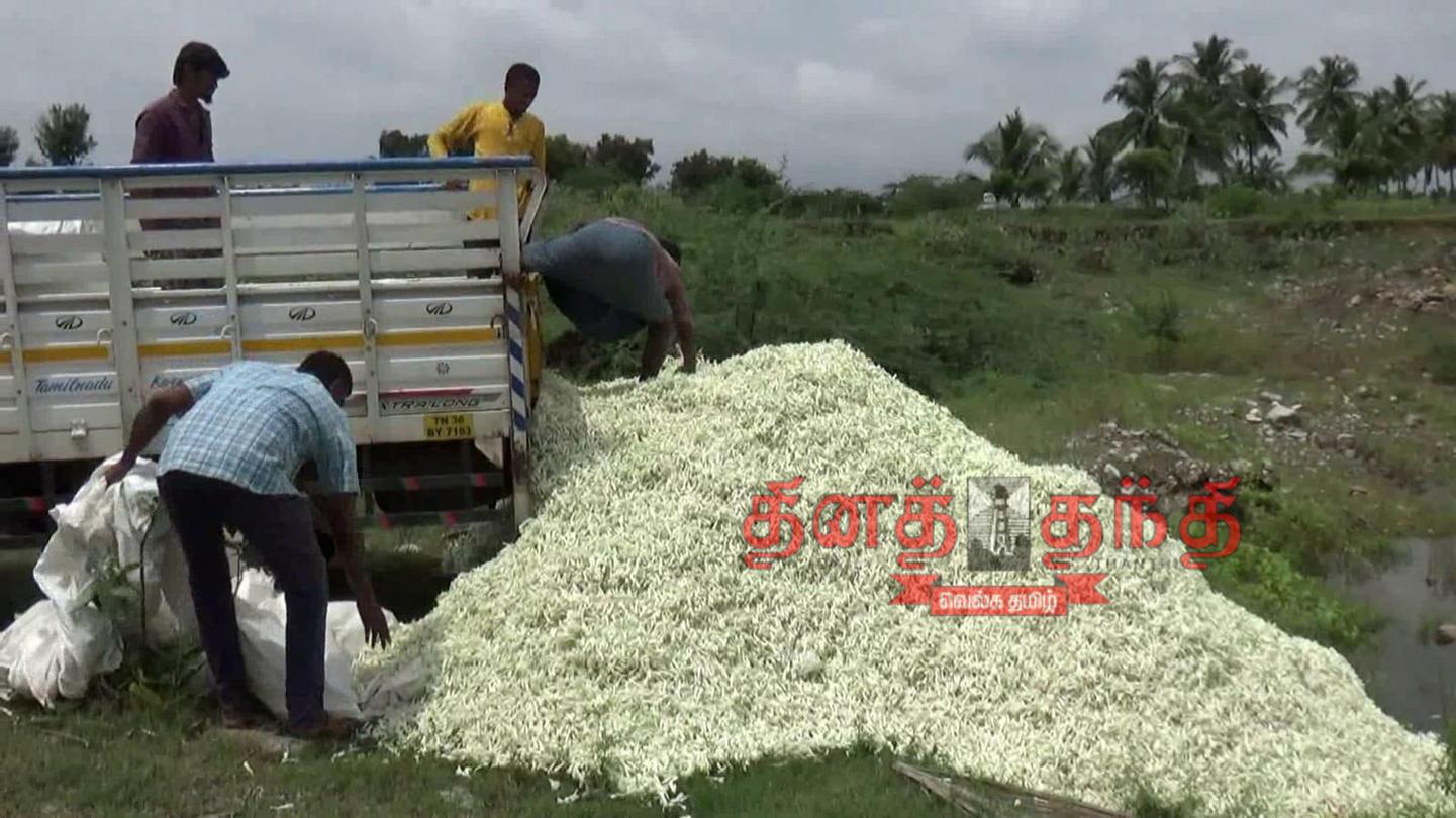 poo market | உரிய விலை கிடைக்காததால் வேதனை: சம்பங்கி பூக்களை சாலையோர ...