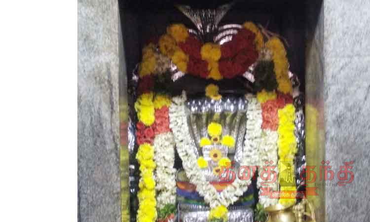 Special Pooja to Lord Rahu-Ketu at Seshapureeswarar Temple ...
