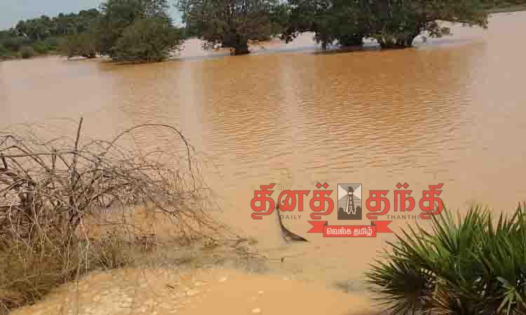 Bank breach of irrigation pond in Kanapur village | கானாப்பூர் ...