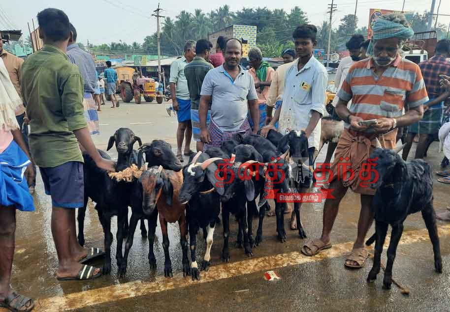 Goat and chicken sales are booming | ஆடு, கோழி விற்பனை அமோகம்