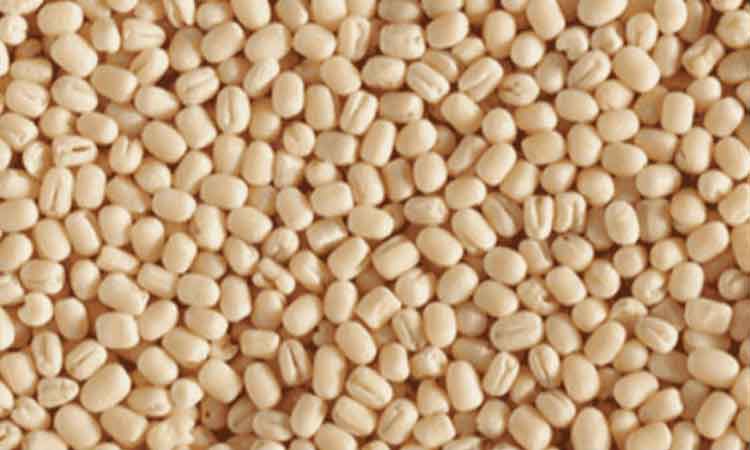 Target to procure 1,250 tonnes of gram | 1,250 டன் உளுந்து கொள்முதல் ...