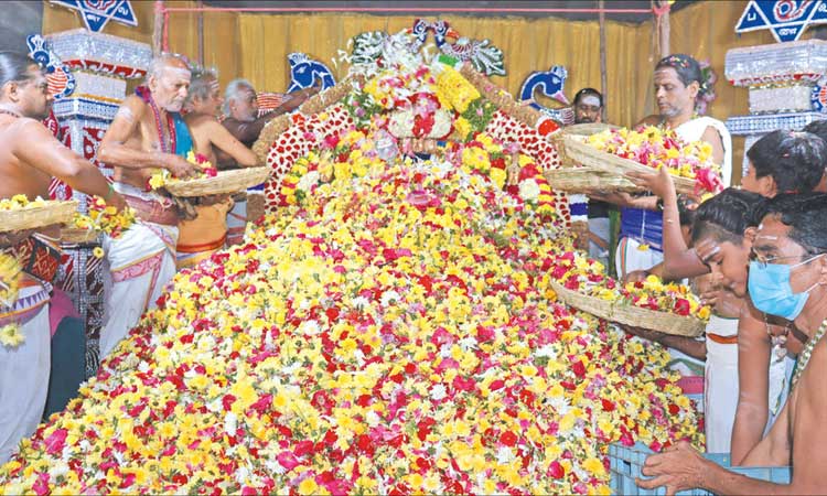 Pushpanjali at Tiruthani Murugan temple on the occasion of Gandashashti festival | கந்தசஷ்டி ...