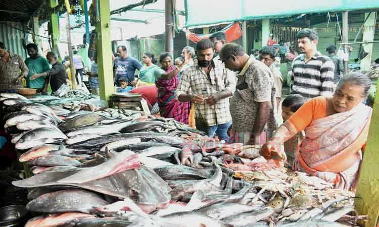 At Erode Market Increase in the price of fish; Vanjaram is sold at Rs ...