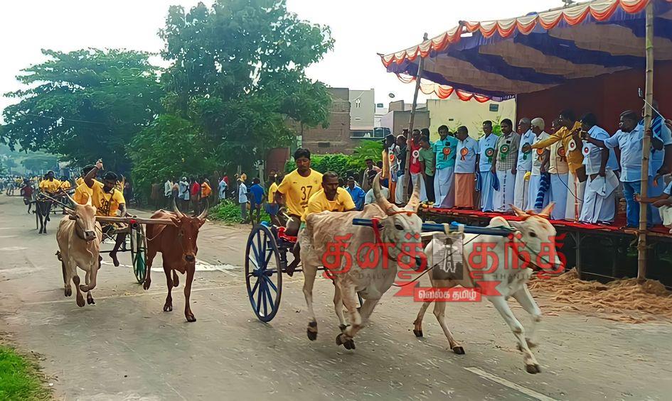 Bullock cart racing | கம்பத்தில் மாட்டு வண்டி பந்தயம்