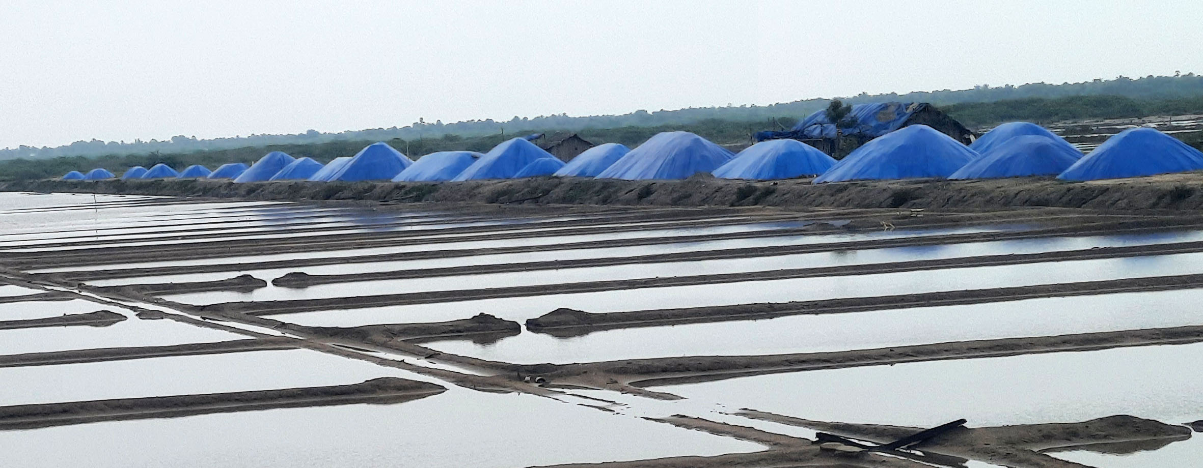 salt | கனமழையால் உப்பு உற்பத்தி பாதிப்பு