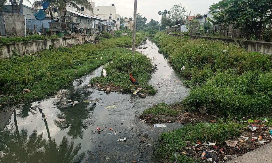 sewage water stagnation on nallar | நல்லாற்றில் கழிவுநீர் தேக்கம் ...