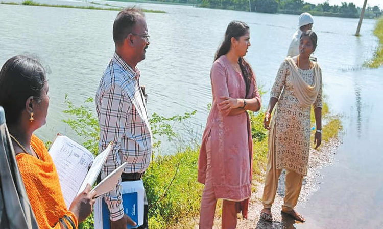 Ponneri sub-collector survey of rain-damaged areas | மழைநீரால் ...