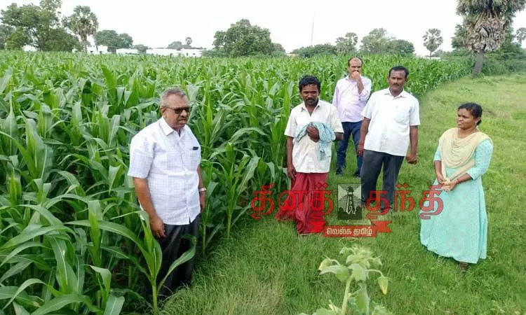 in Gayatharu district Agricultural projects Officers review | கயத்தாறு ...