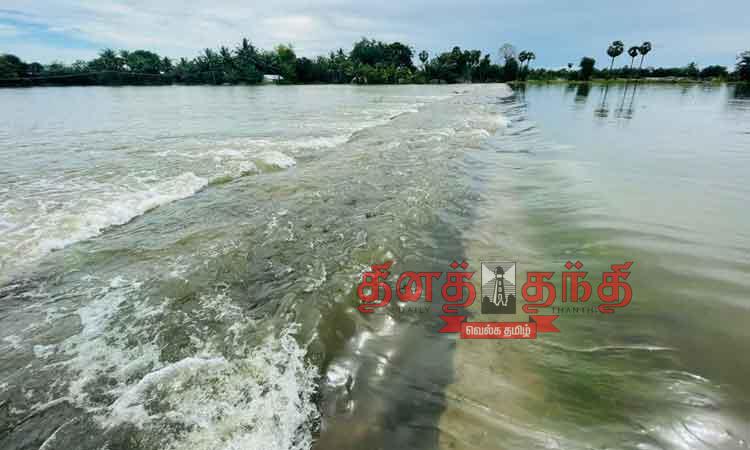 500 acres of paddy fields were submerged in the rain | மழை வெள்ளத்தில் ...