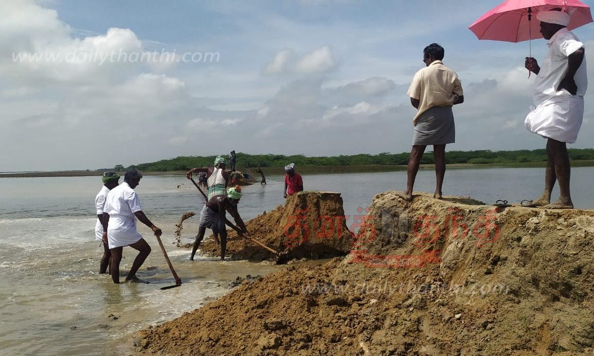 Mudflats in the river Displaced farmers | ஆற்றில் இருந்த மண் திட்டுகளை ...