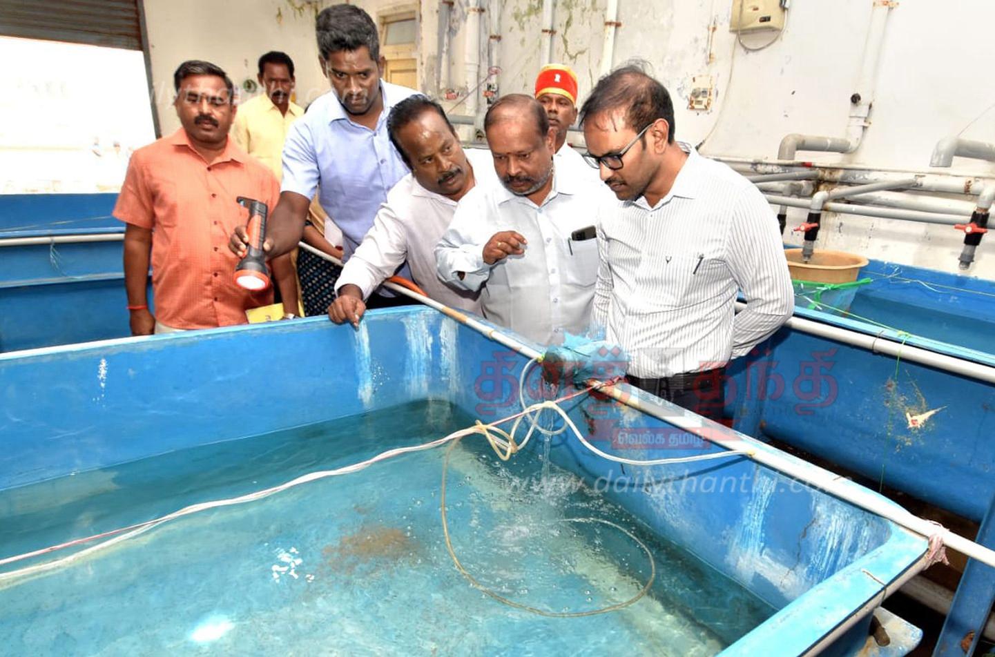 Steps to set up a modern fish market in Hosur | ஓசூரில் நவீன மீன்சந்தை ...