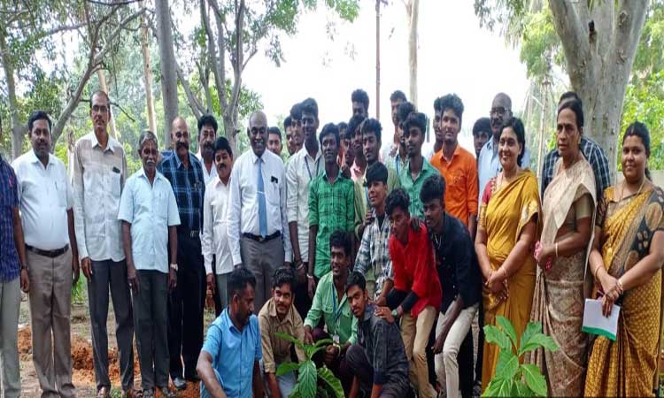 At Tiruchendur Aditanar College Sapling ceremony | திருச்செந்தூர் ...