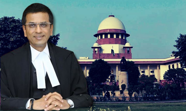 Review petition filed in the Supreme Court against judgement upholding ...