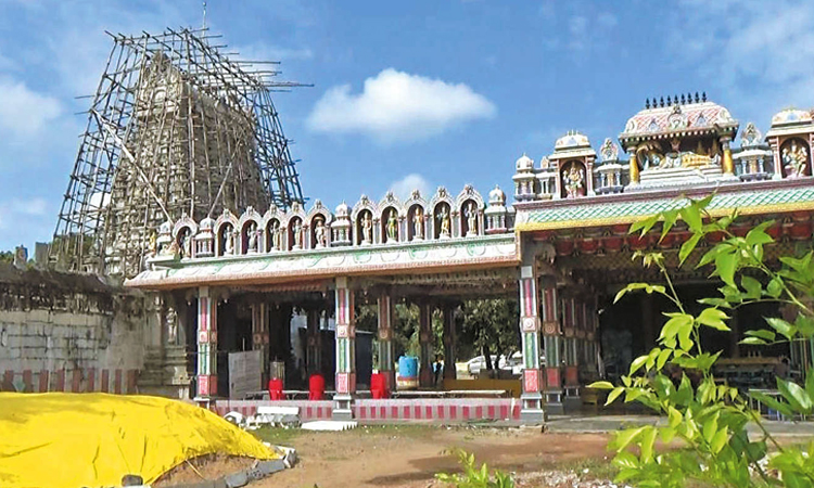 One year completion of Palalayam: Mamallapuram Thalasayana Perumal ...