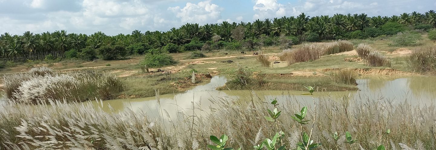 Water levels that do not fill up even after rainfall; Farmers are ...