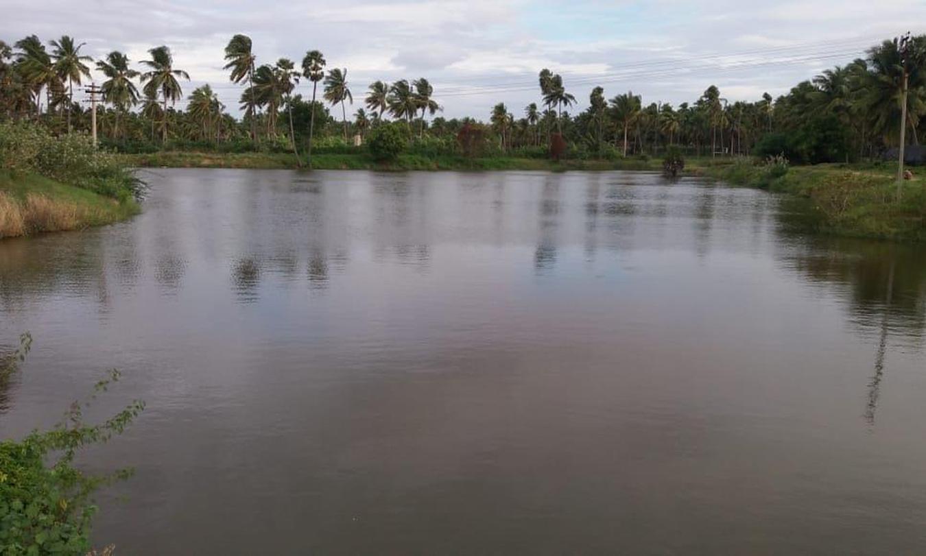 kulam | தொடர் பலத்த மழையினால் ரத்தினபுரி குளம் நிரம்பியது