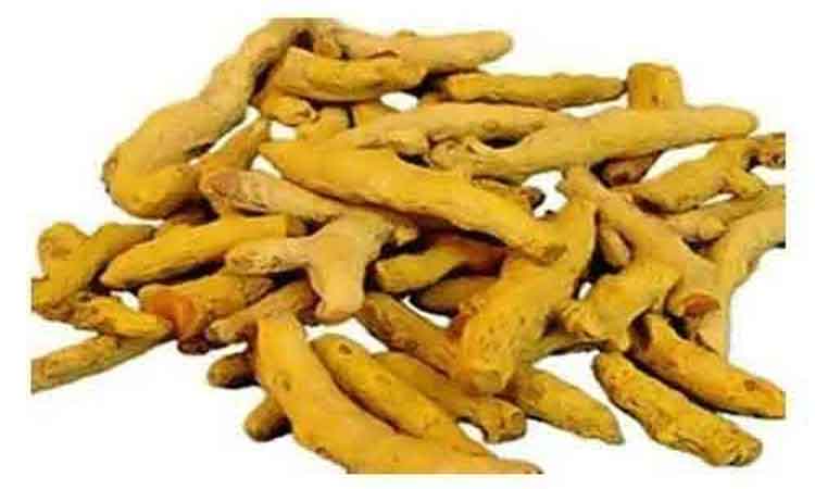 All over Tamil Nadu 5 lakh bundles of old turmeric scum | தமிழகம் ...