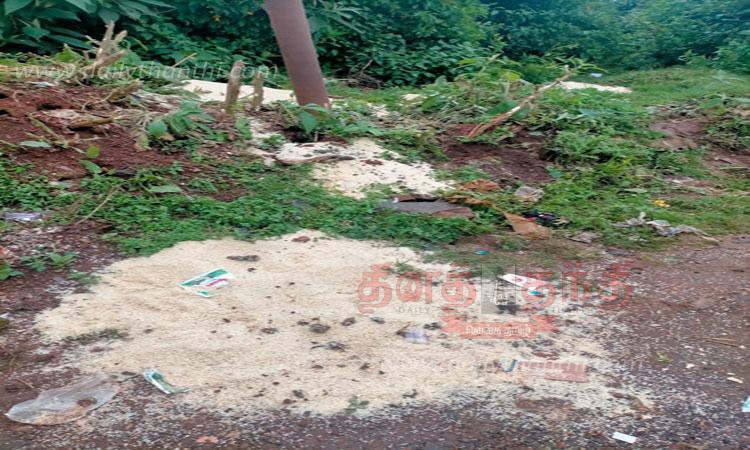Ration rice dumped in the bush | புதரில் கொட்டப்பட்ட ரேஷன் அரிசி