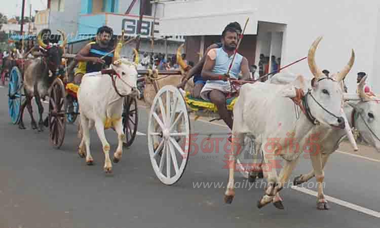 Bullock cart racing | மாட்டு வண்டி பந்தயம்