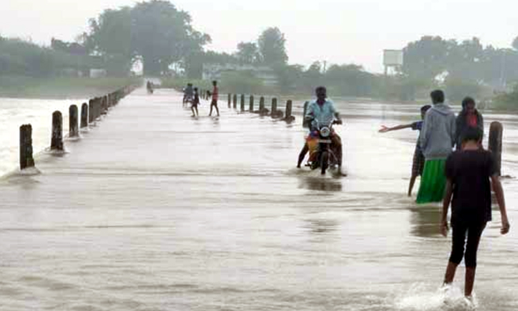 Kosasthalai- Arani River flooded bridges causing traffic disruption for ...
