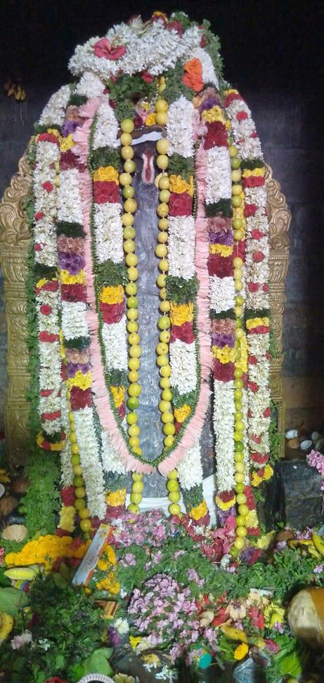 algondamal temple pray the pilgrims | ஆல் கொண்டமமால் கோவிலில் குவிந்த ...