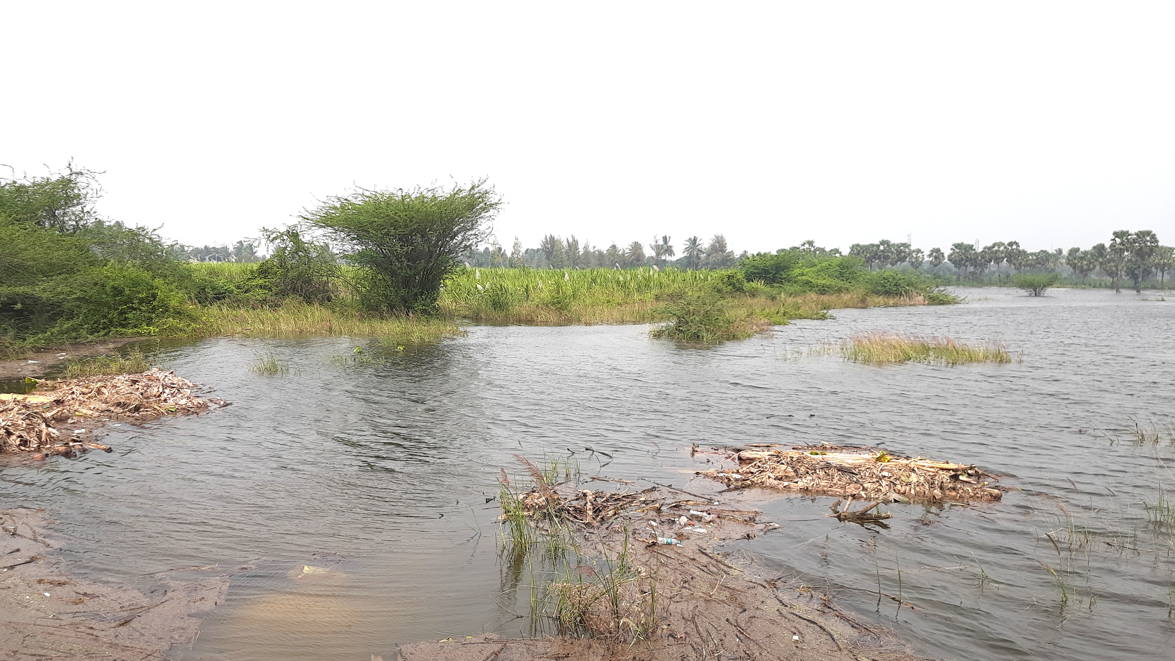 A lake full of encroachments | ஆக்கிரமிப்புகளால் நிரம்பிய ஏரி