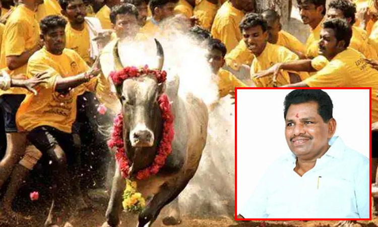 Minister Anitha Radhakrishnan's advice on Jallikattu competitions the ...
