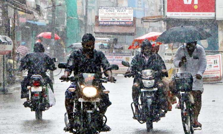 Widespread rain in Cuddalore district | கடலூர் மாவட்டத்தில் பரவலாக மழை