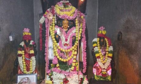 vellakovil | ஆறுமுக சுப்பிரமணிய சுவாமிக்கு சிறப்பு அபிஷேகம்