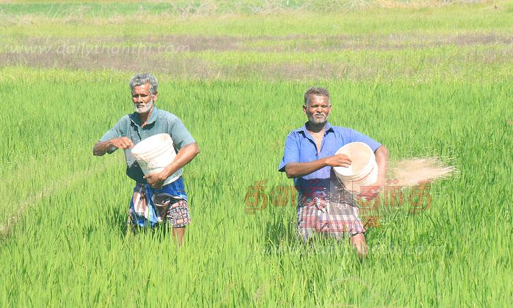 Farmers who started farming | விவசாய பணிகளை தொடங்கிய விவசாயிகள்