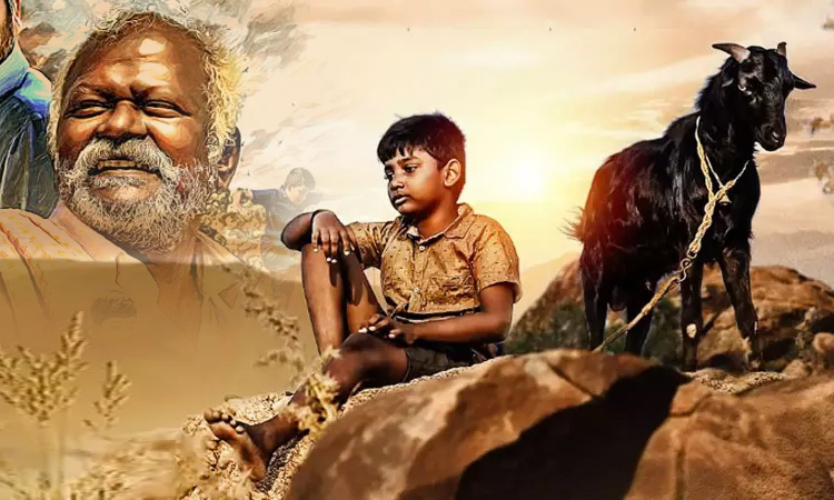 Award-winning grandfather-grandson affection movie | விருது பெற்ற ...