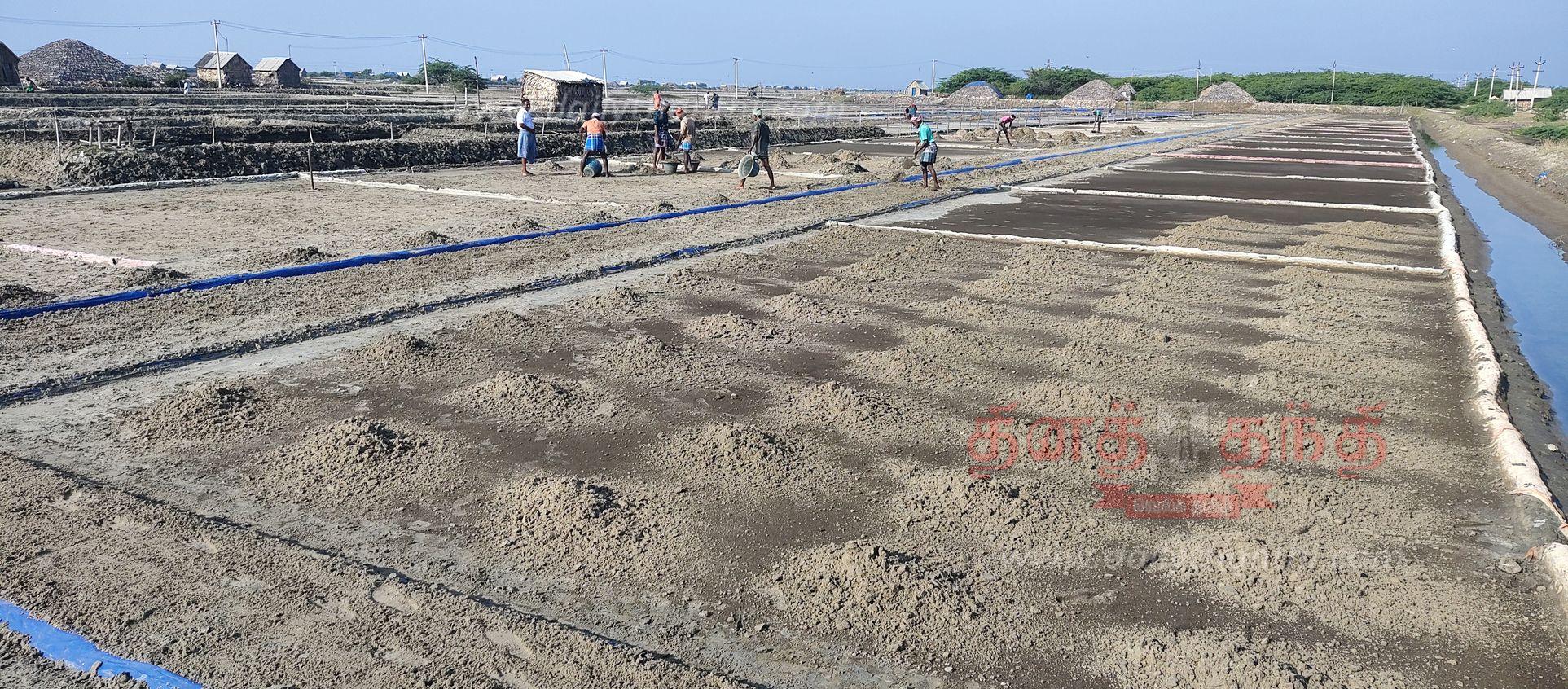 Commencement of salt production for this year | இந்த ஆண்டுக்கான உப்பு ...