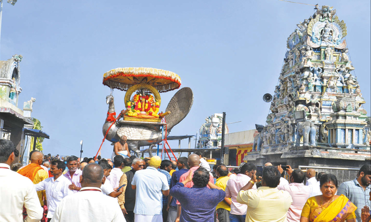 Tirupati festival celebrated in Tiruthani Murugan temple with much ...