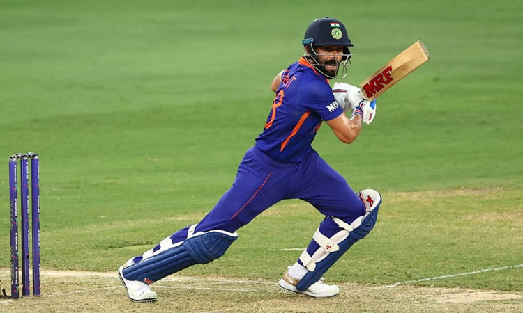 Like Gautam Gambhir In 2011 World Cup Virat Kohli In 2023 World Cup like-gautam-gambhir-in-2011-world-cup-virat-kohli-in-2023-world-cup