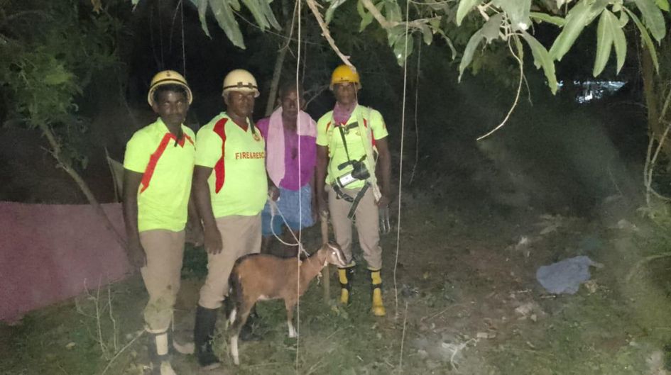 A goat that fell into a well and was rescued alive | கிணற்றில் தவறி ...