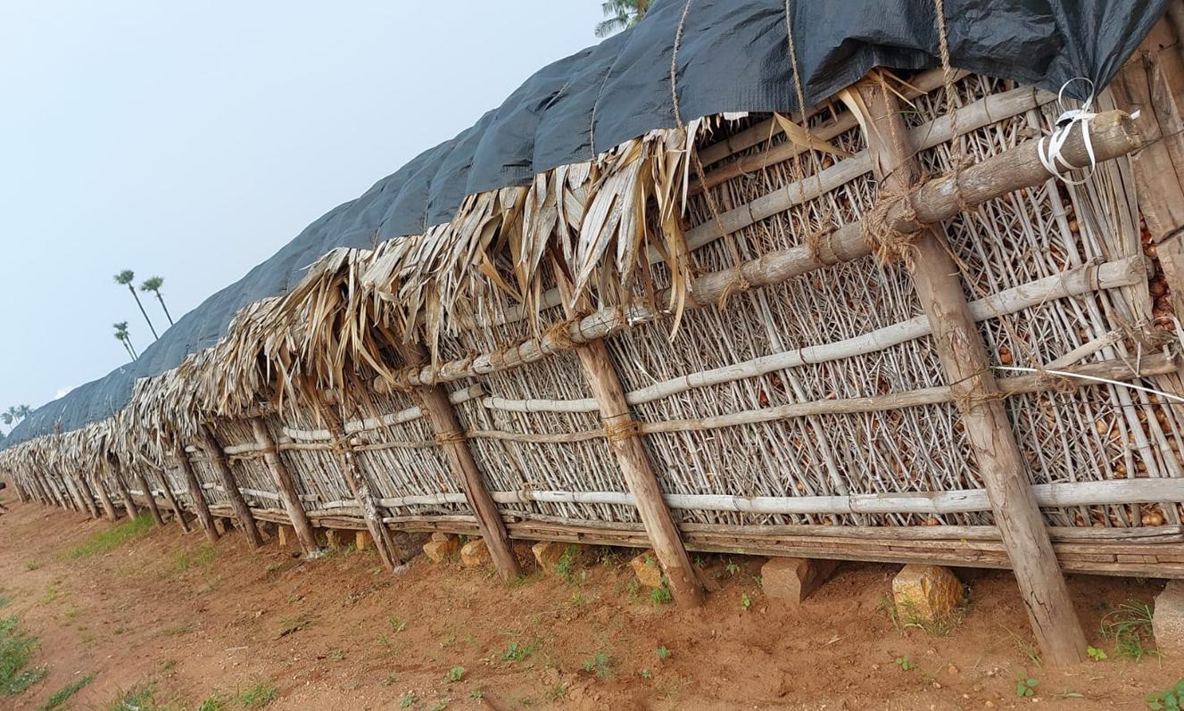 oniyan rate | சின்ன வெங்காயம் பயிர் செய்யும் விவசாயிகள் திண்டாட்டம்