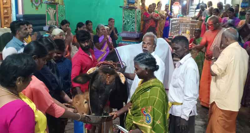 Gomatha Puja | கோமாதா பூஜை