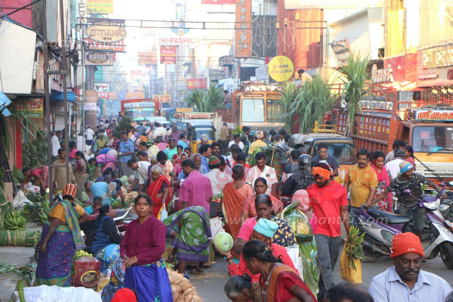 Pongal festival in Puducherry | புதுச்சேரியில் களை கட்டிய பொங்கல் விழா