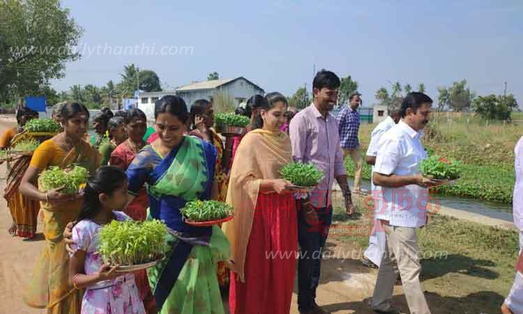 On the occasion of Kalingarayan Day Sprouting ceremony | காலிங்கராயன் ...