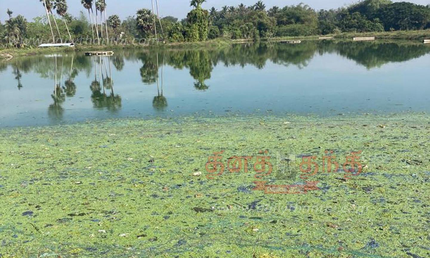 Steps should be taken to treat waste water | கழிவு நீரை சுத்திகரிப்பு ...