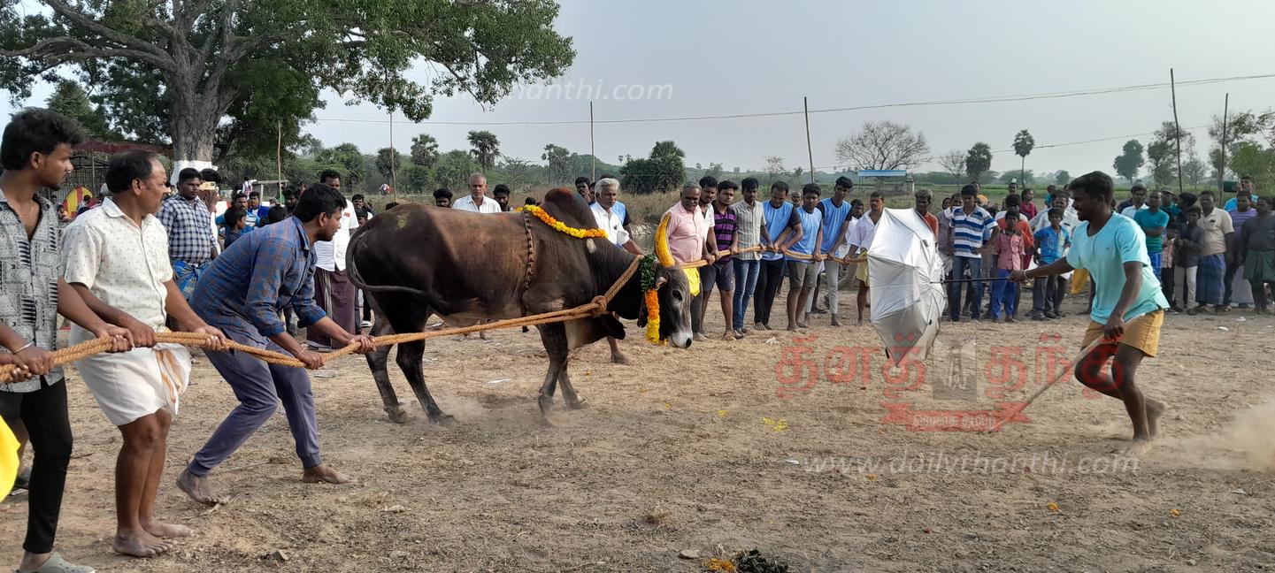 Bull release ceremony | காளை விடும் விழா