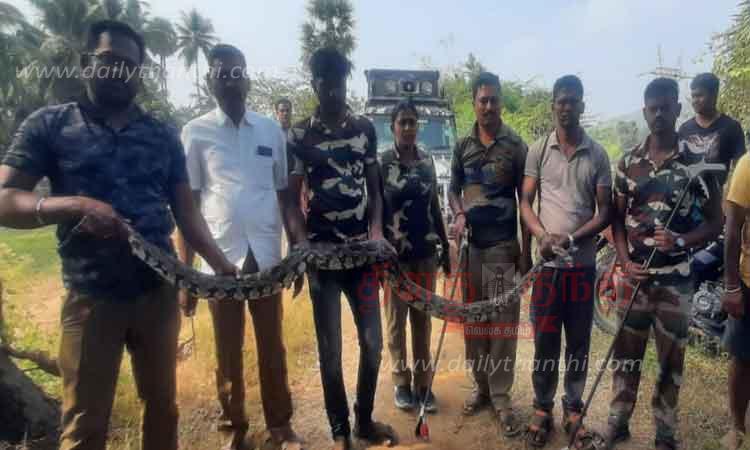Near Ammapet A 6-foot-long python caught in a fishing net | அம்மாபேட்டை ...