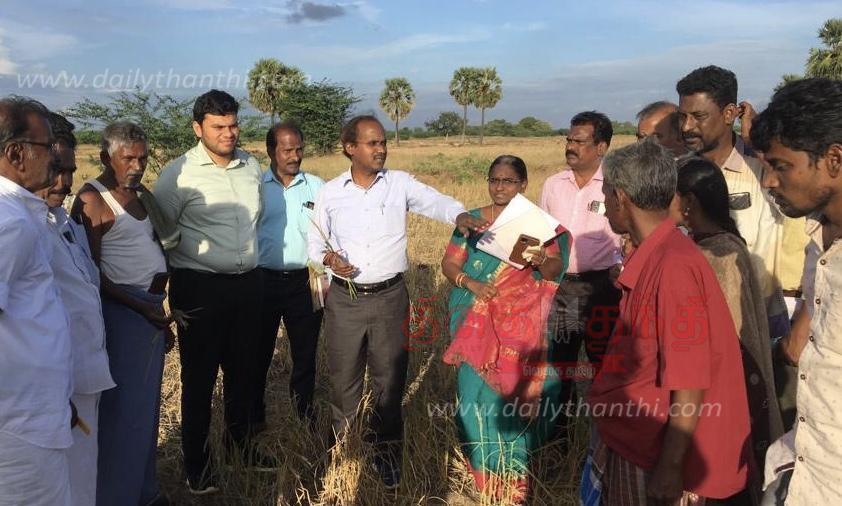 Director of Agriculture survey of drought areas in Mudukulathur ...