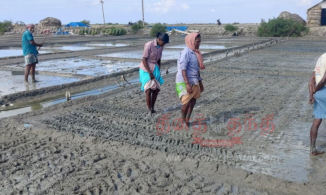 Salt production resumed | உப்பு உற்பத்திக்கான பணிகள் மீண்டும் தொடக்கம்