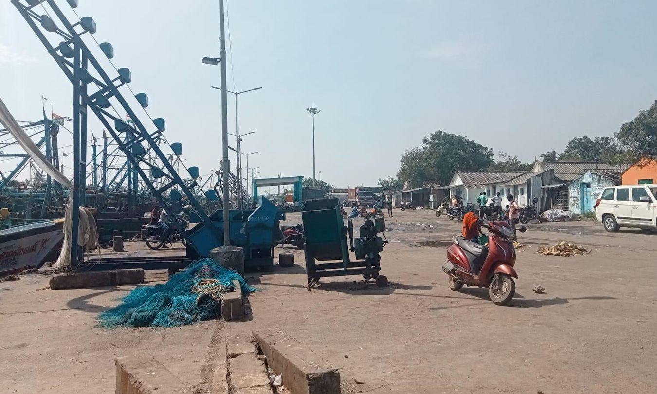 Fish inflow to Cuddalore port has decreased | கடலூர் துறைமுகத்திற்கு ...