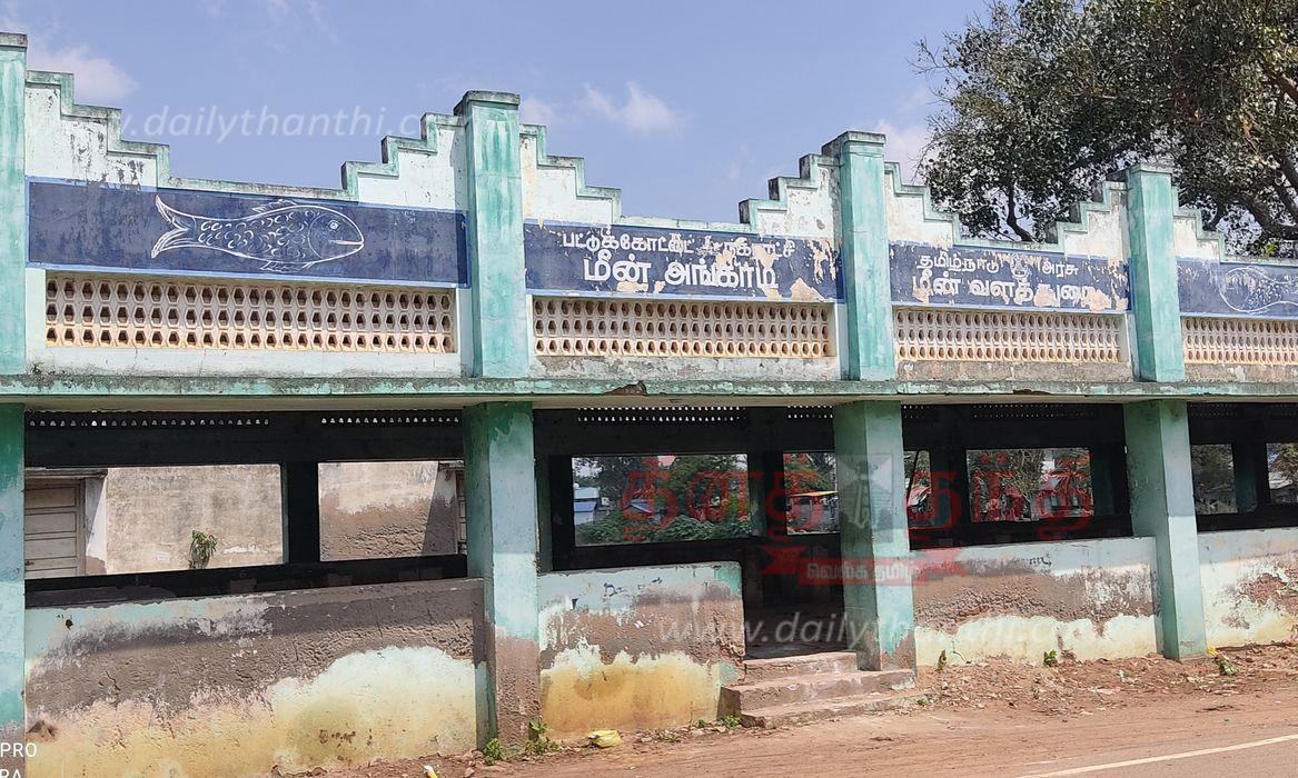 Will Pattukottai Municipal Fish Market be functional again ...