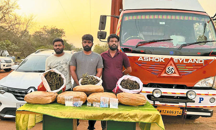 Ganja smuggling and sale in Borur area: 3 arrested, including ...