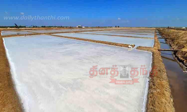 Salt production | உப்பு உற்பத்தி சீசன் தொடக்கம்