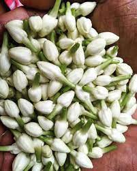 The price of flowers has increased | பரமத்திவேலூரில் பூக்கள் விலை உயர்வு