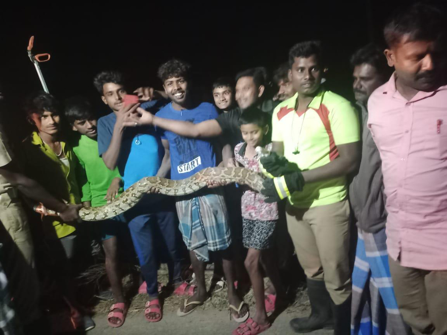 A 10 feet python was caught | 10 அடி நீள மலைப்பாம்பு பிடிப்பட்டது